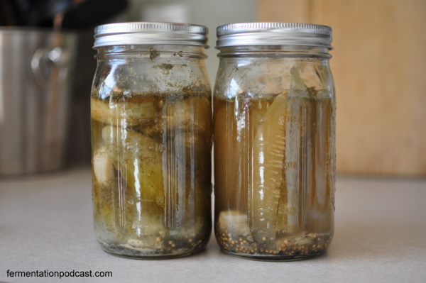 Dehydrating Pickles & Fermented Dill Pickle Salt Recipe | The ...